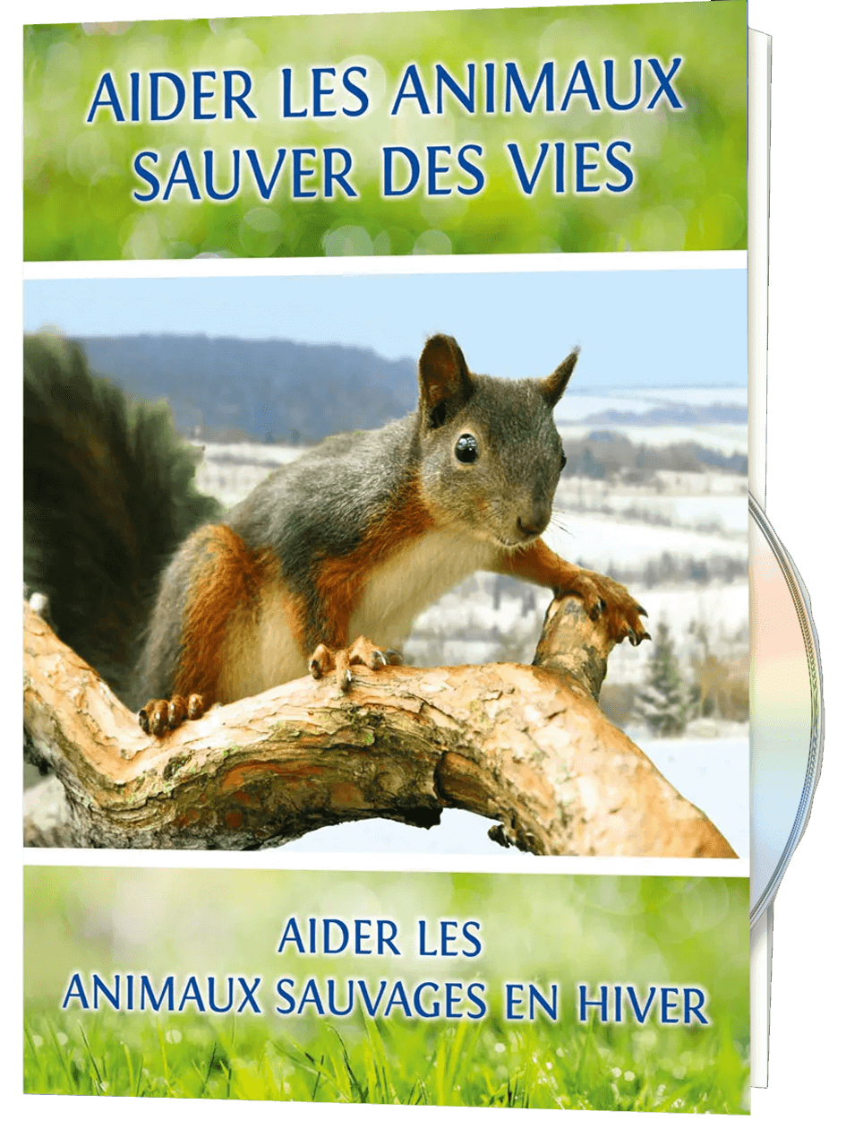 DVD: Aider les animaux sauvages en hiver | Gabriele Publishing